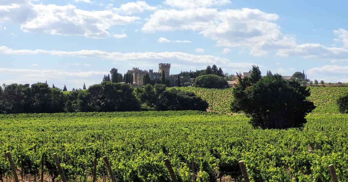 Azur Wine Tours - Wines of Châteauneuf-du-Pape